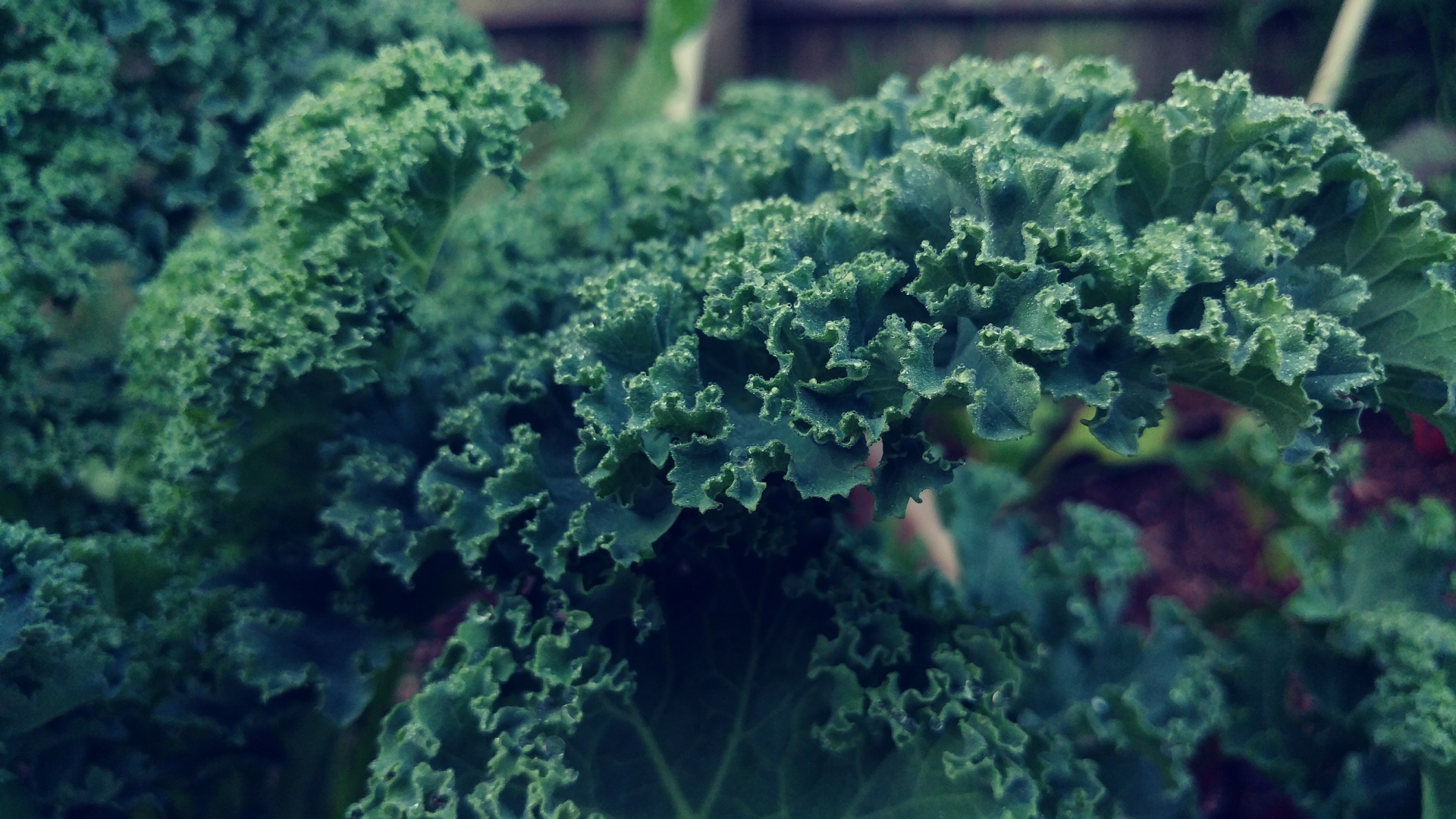 How Does Your Worldview Influence Your Daily Life?